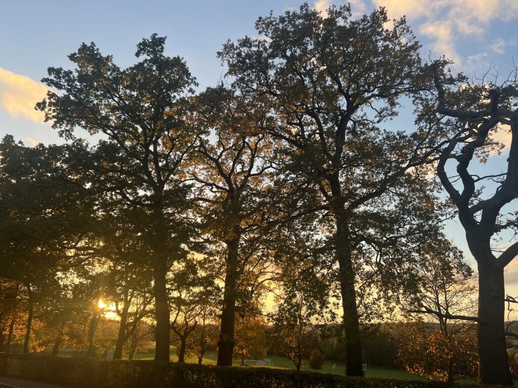 Memories of Film Studies - Bradfield College